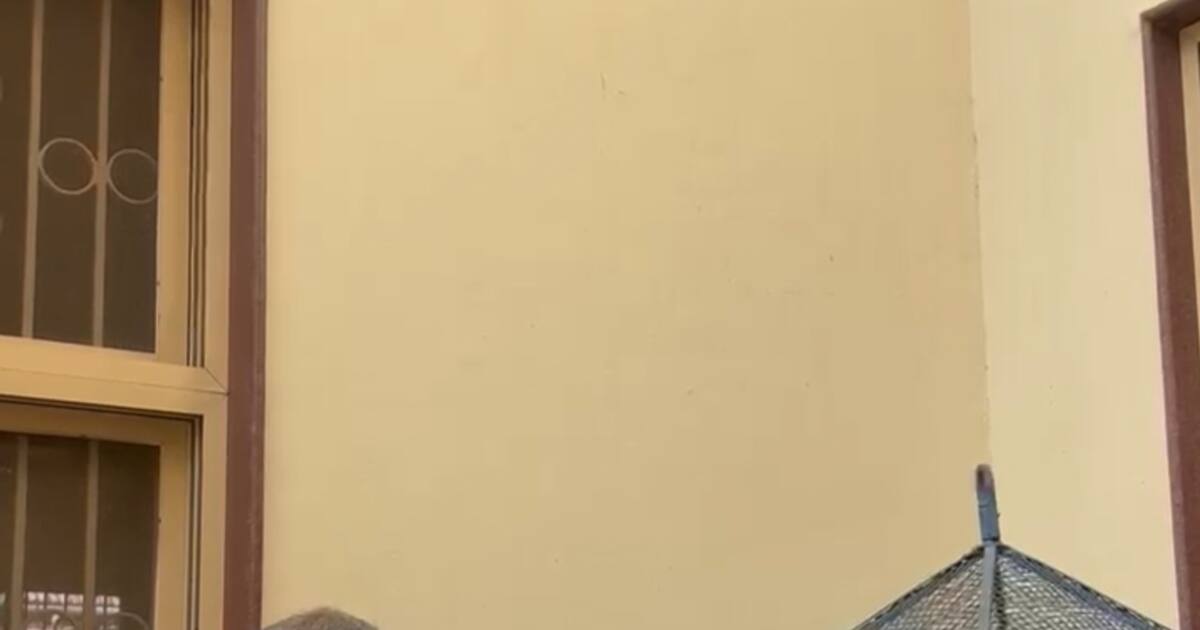 kageri in a relaxed mood