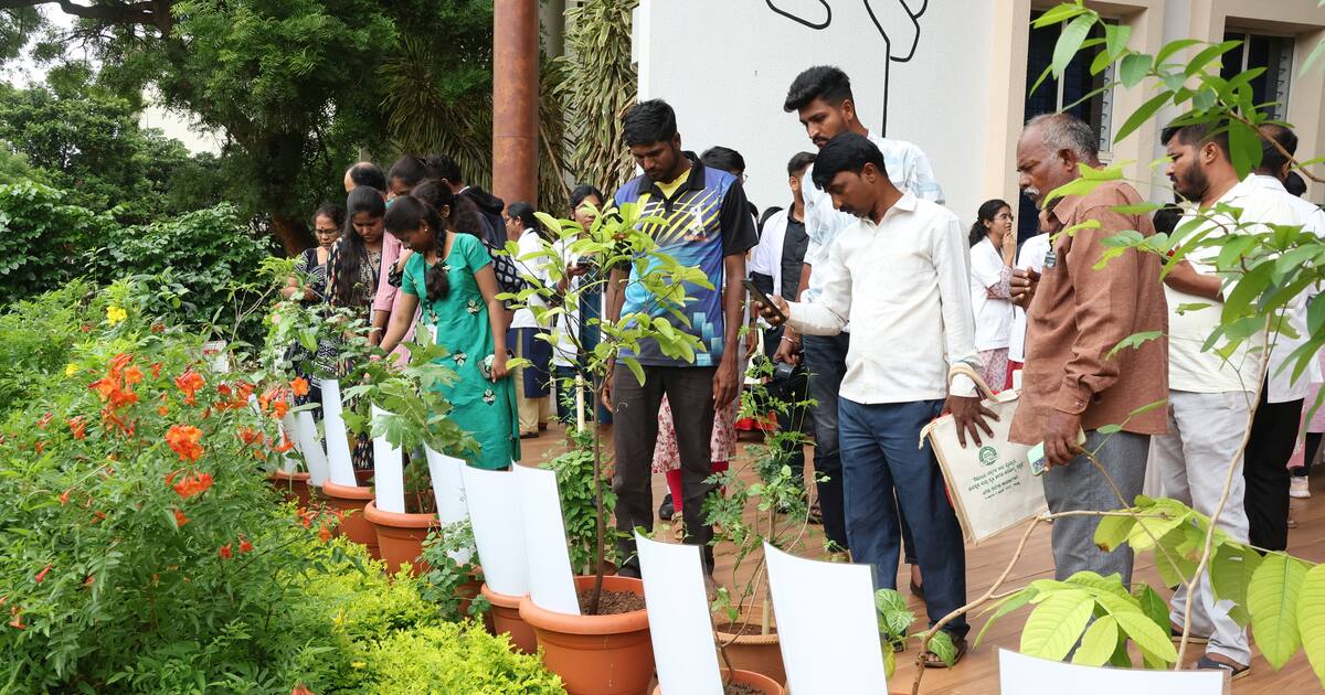 bvb campus turned into medicinal plantation