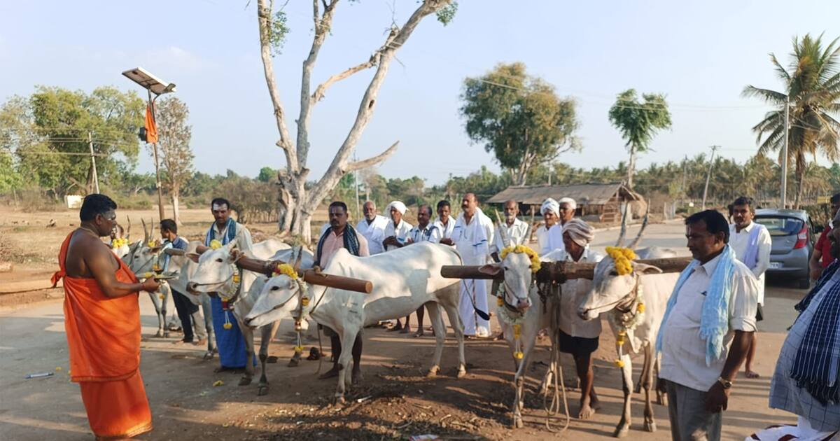 honnaru celebration on the occasion of ugadi in nagamangala taluk ...