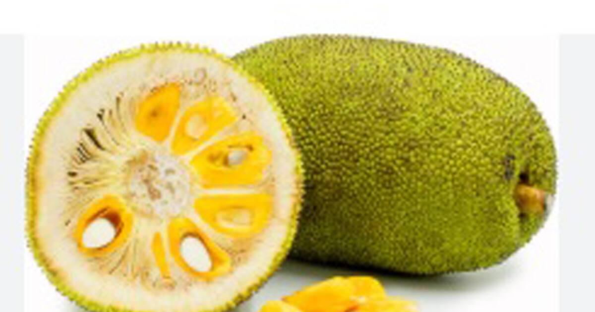jackfruit mela, food festival on the 15th at nanthur sri bharathi group ...