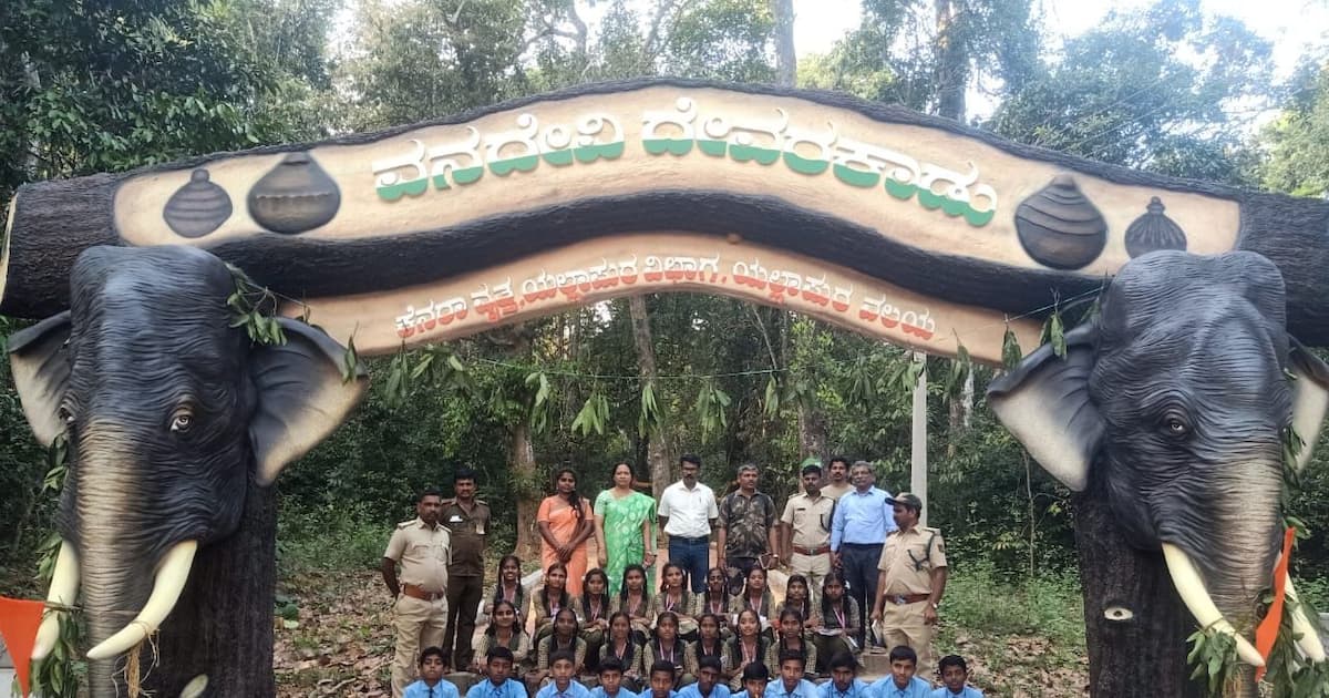 gods forest is a place of features that cannot be seen even by science