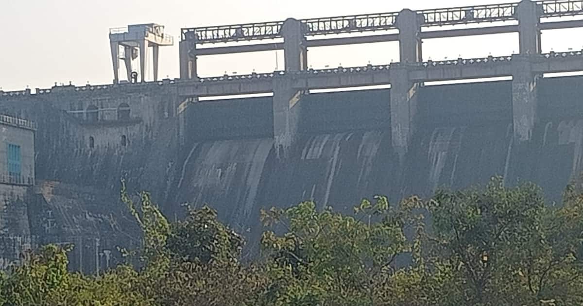 beauty of bhadra reservoir threatened by surrounding vegetation: lt hemanna