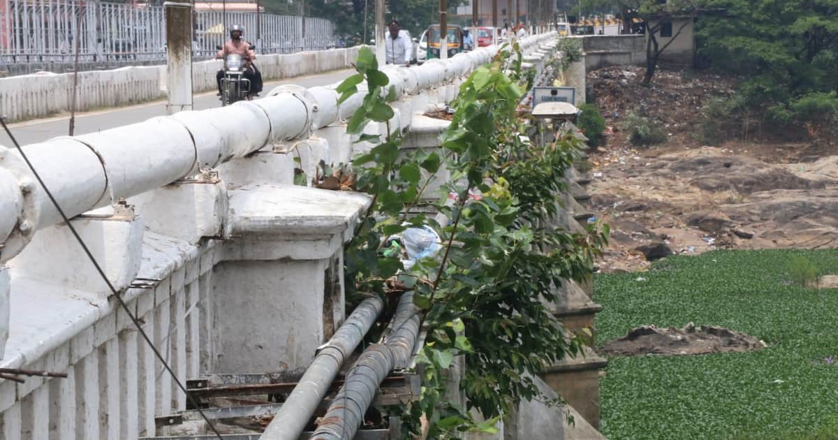 the century-old tunga bridge is in danger
