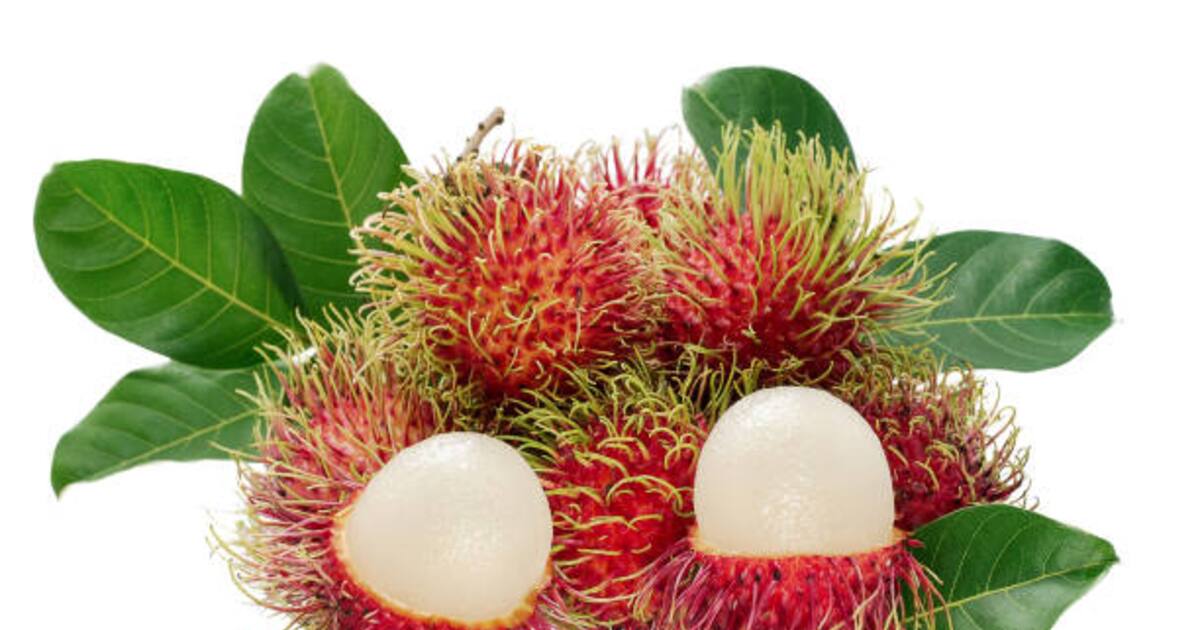 chettalli: plant variety conservation, farmers' rights act awareness ...