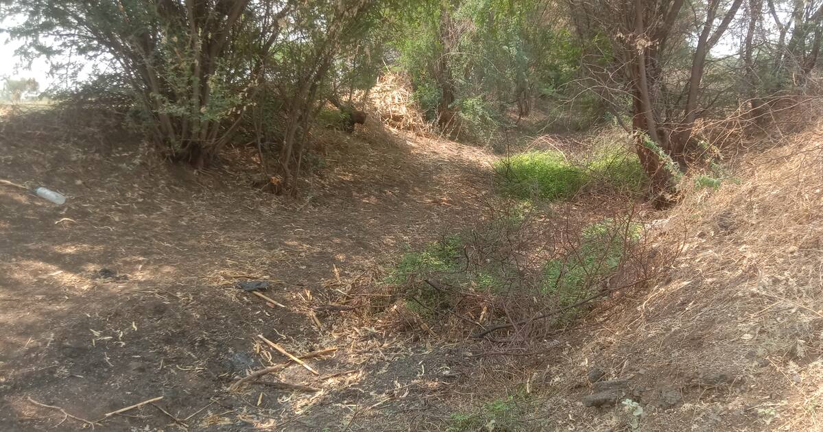 silted water bodies officials who turn a blind eye