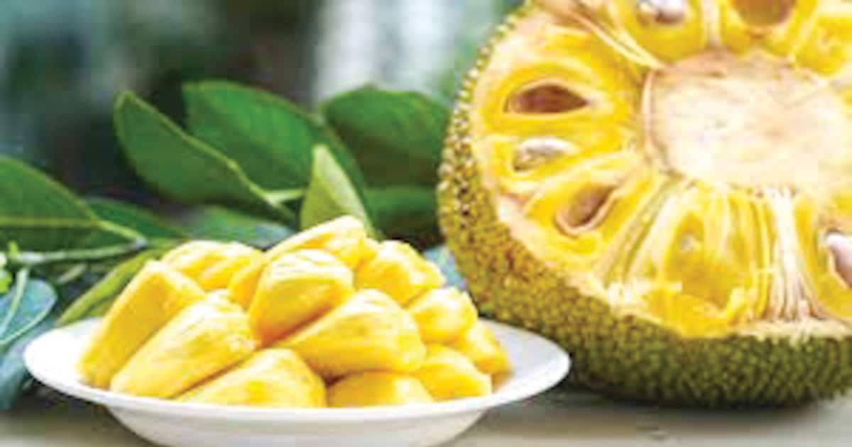 jackfruit and fruits fair at puttu jain bhawan from tomorrow