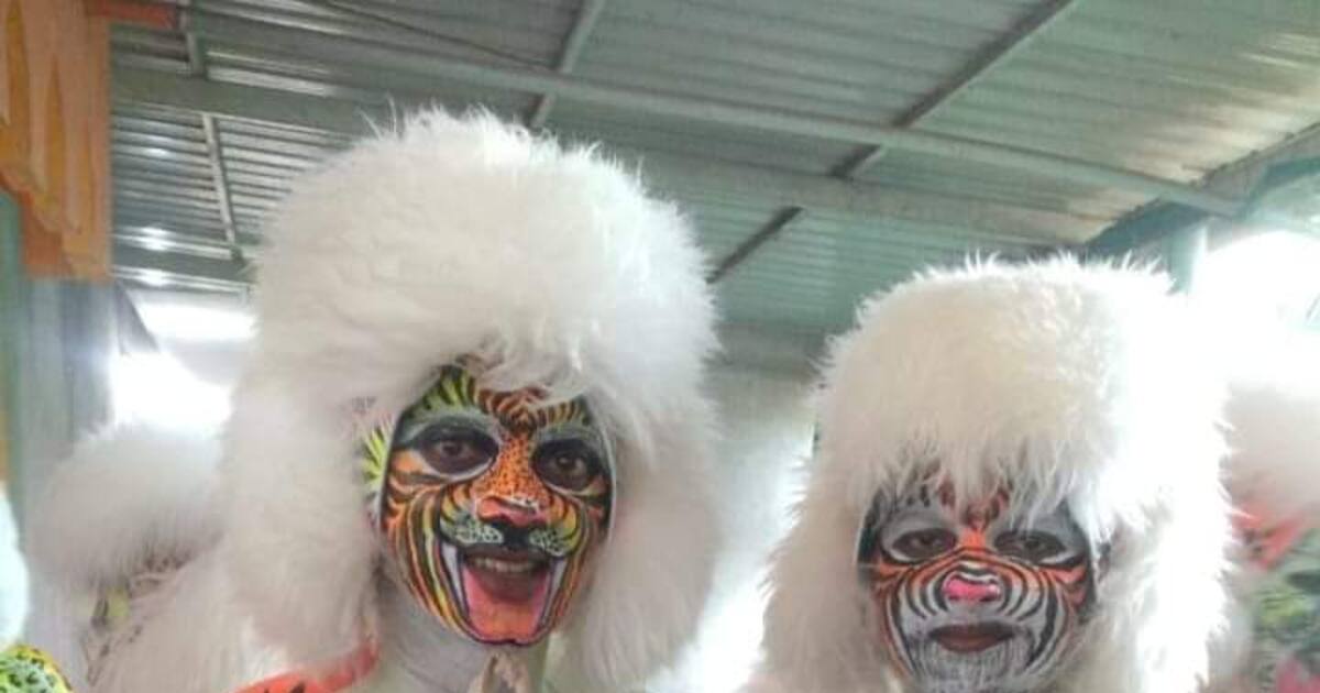 'we stand with israel' tiger in ullala!