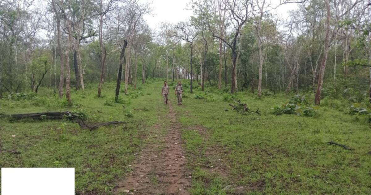 first day 15 km yard count