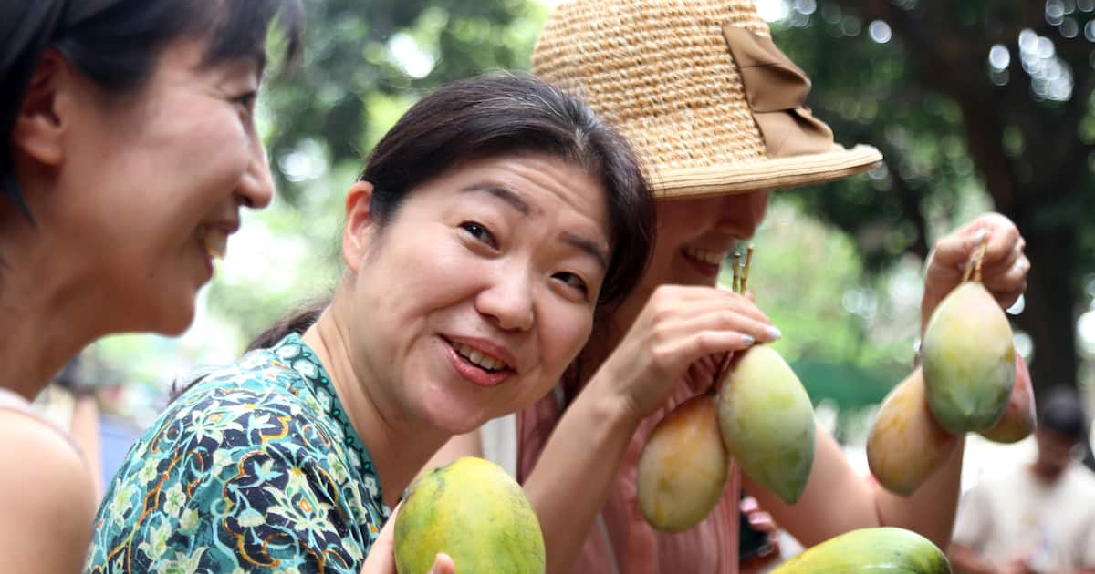 mango jackfruit exhibition inaugurated in lalbagh