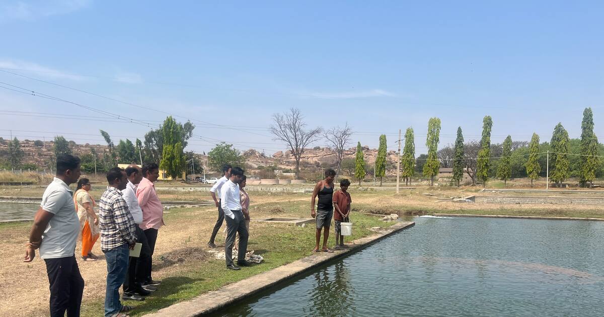 plan for fish fry production nursery: ceo